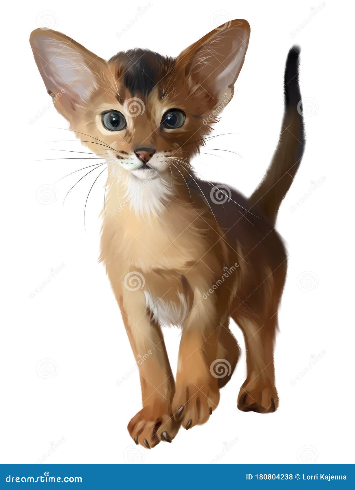 Abyssinian Cat And Kitten Vector Isolated Illustration. Black And White ...