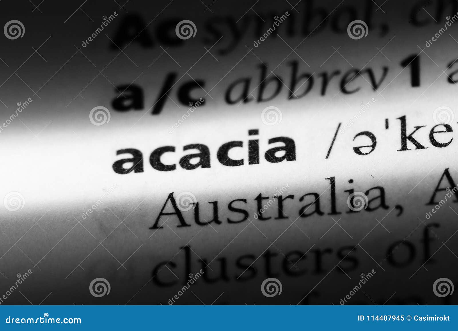 Acacia stock image. Image of dictionary, closeup, writing - 114407945