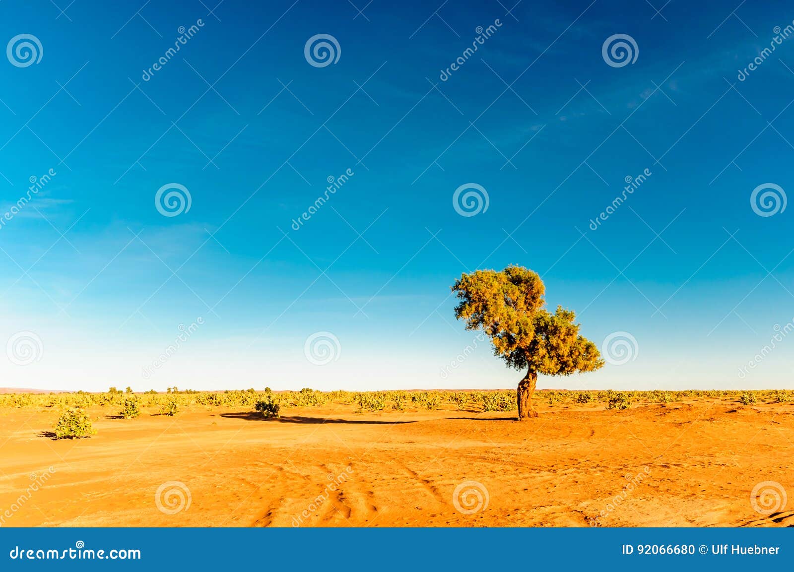 Savanna In Moroccan Hamada Desert Erg Chigaga Near Four Zguid With ...