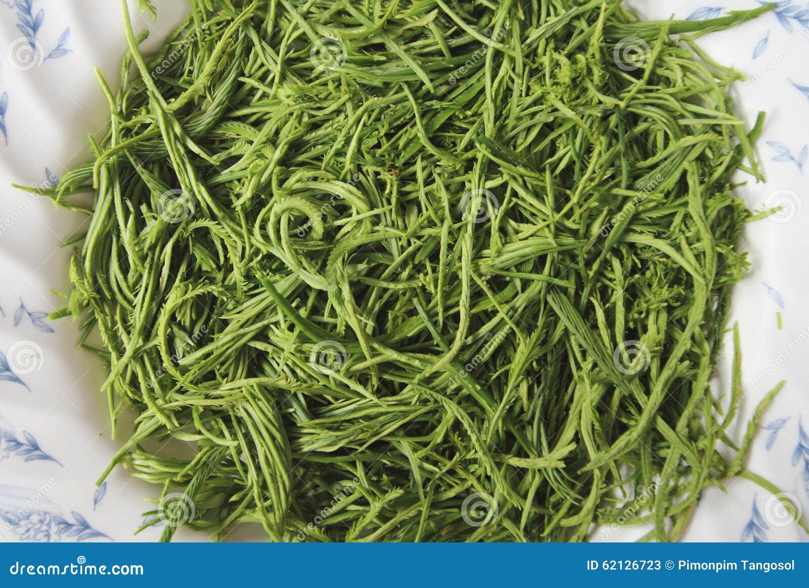 Acacia pennata vegetables stock image. Image of cooking - 62126723