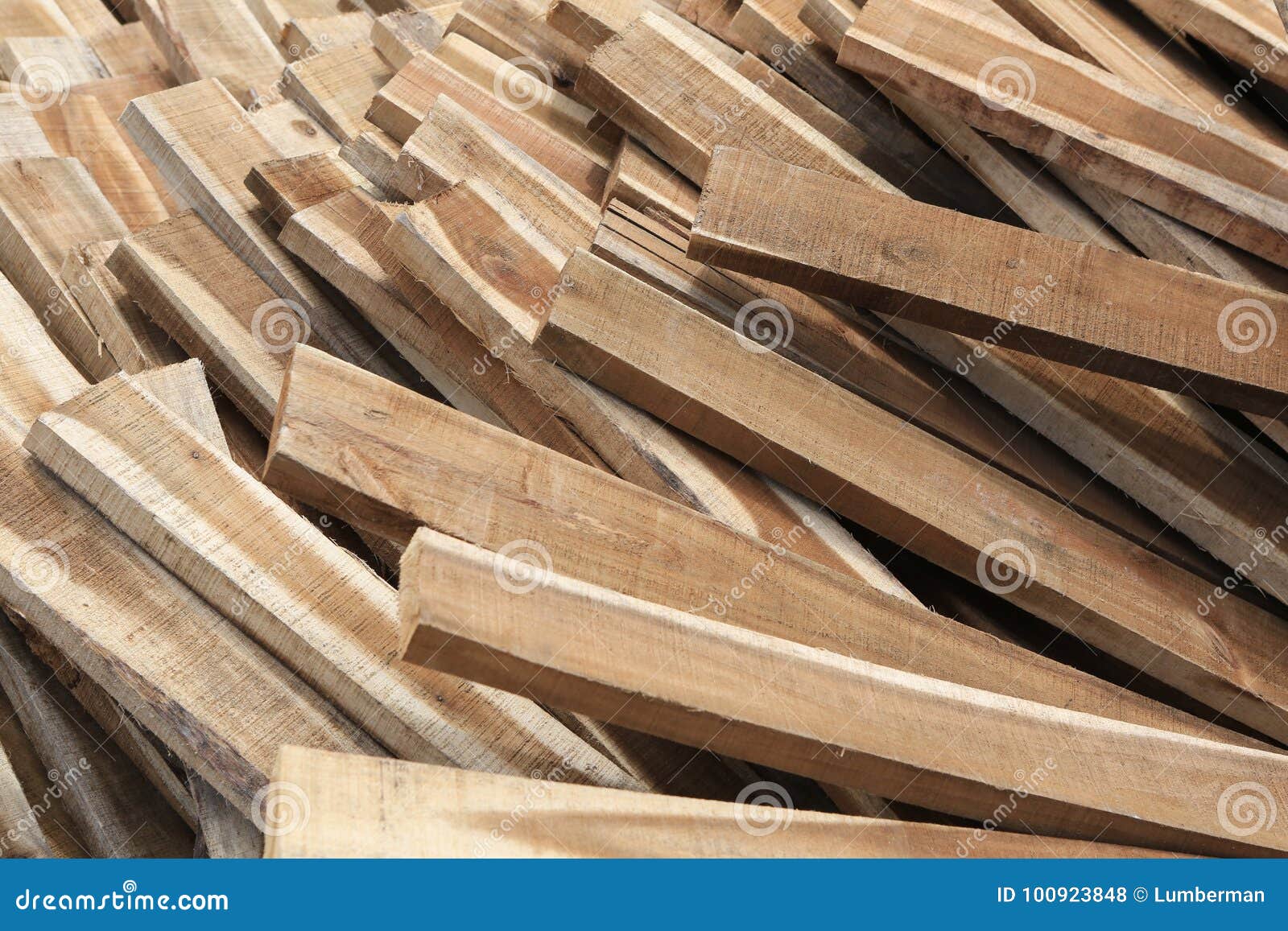 Acacia Timber Log Raw Material Stock Photo - Image of timber, wood ...