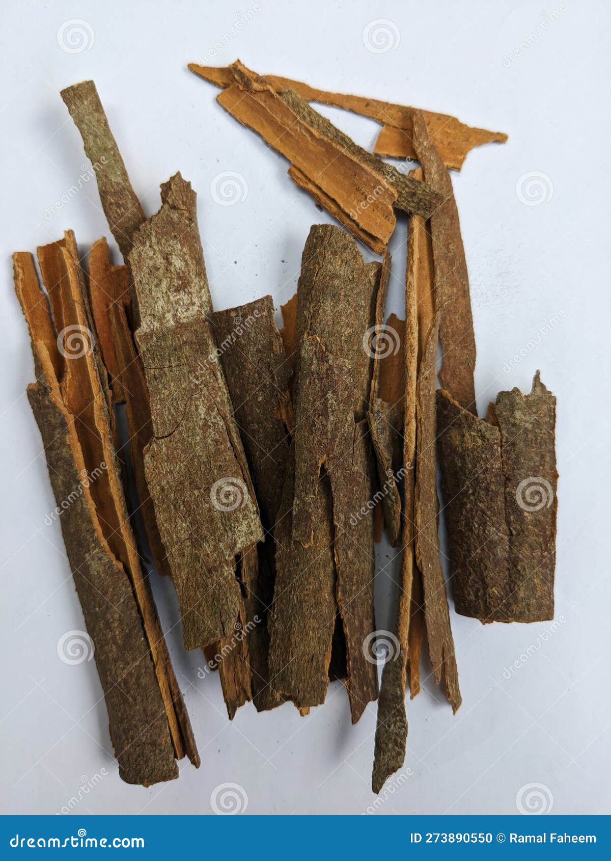 Acacia tree bark. Dalchini stock photo. Image of dish - 273890550