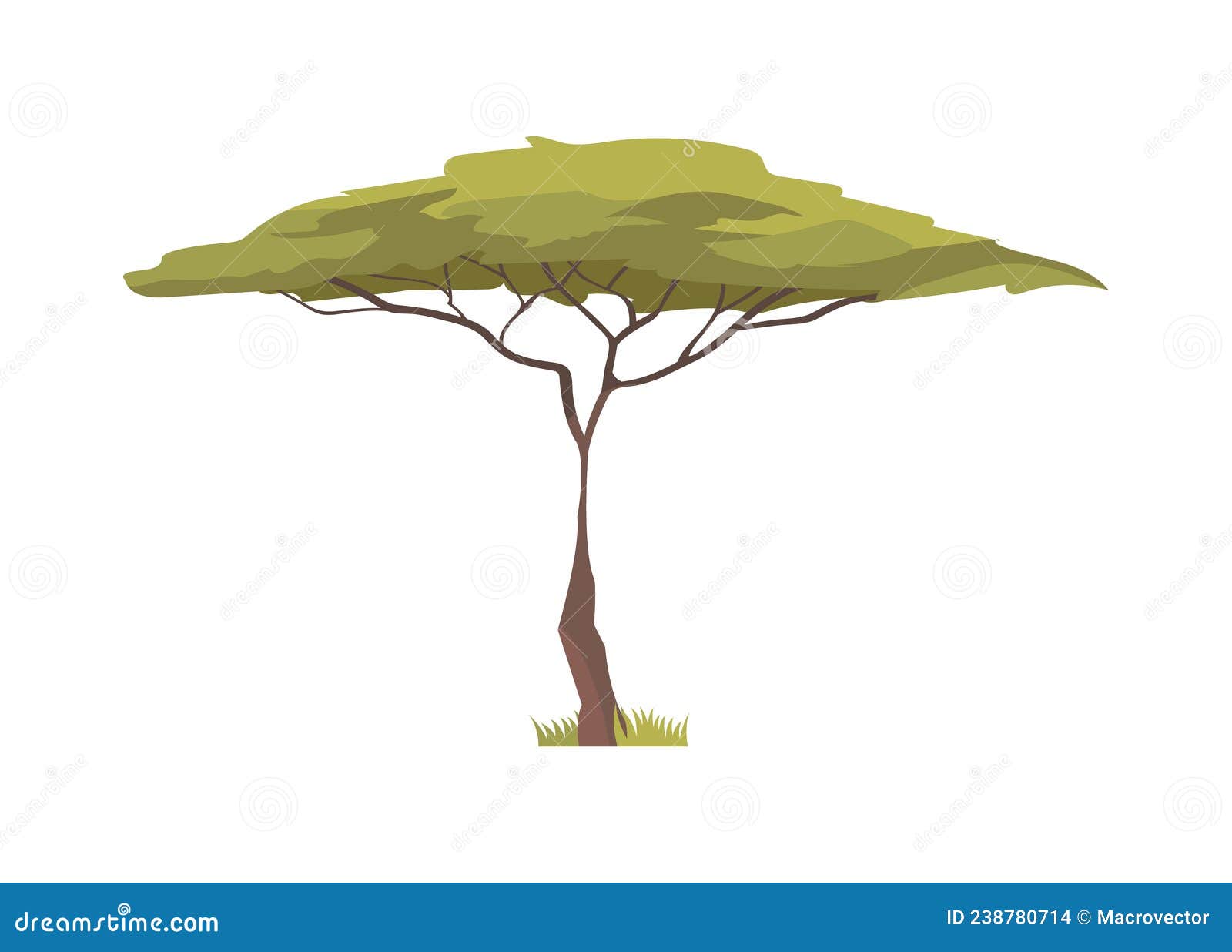 Acacia Tree Icon stock vector. Illustration of decorative - 238780714