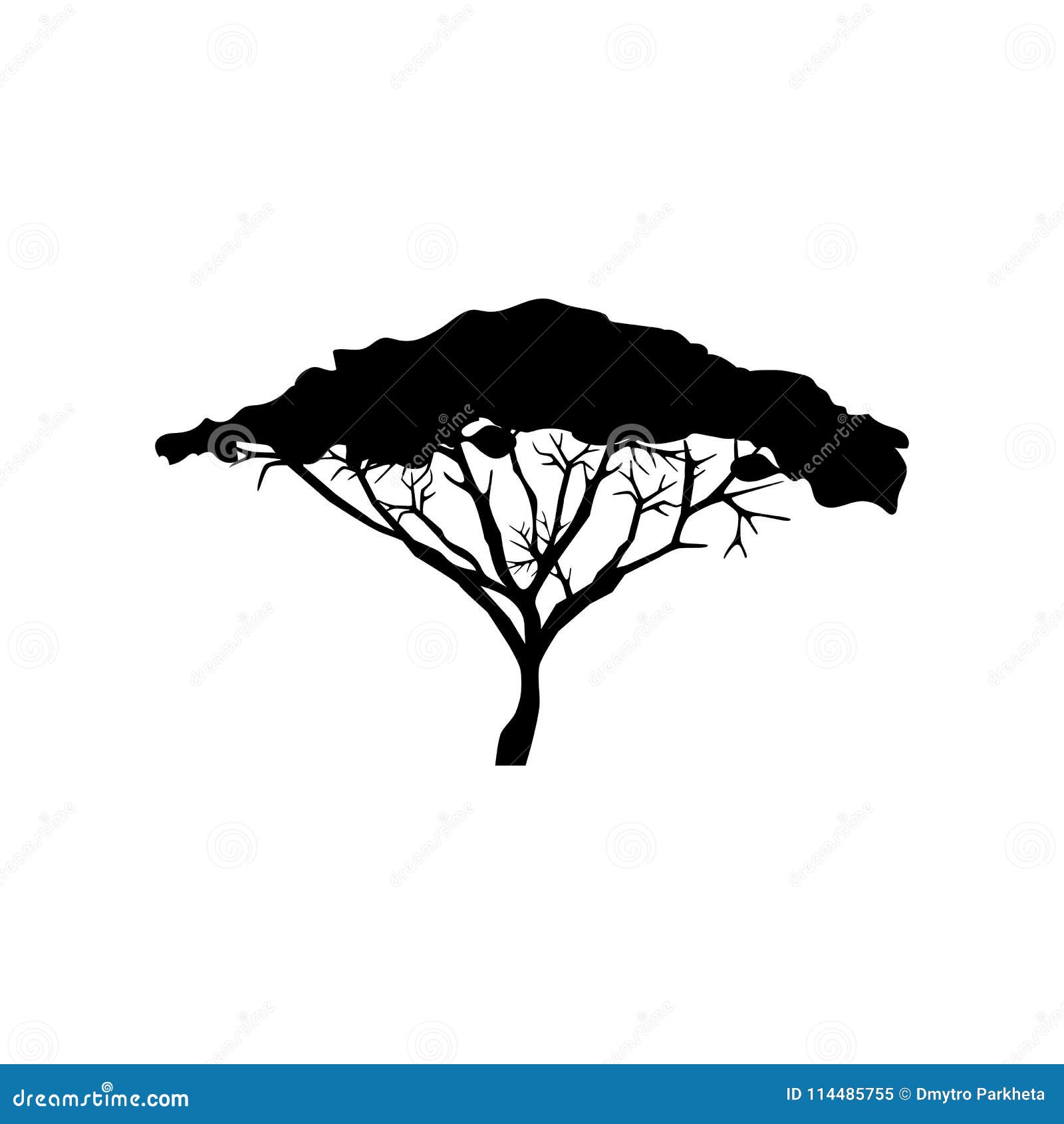 Acacia tree illustration stock vector. Illustration of landscape ...