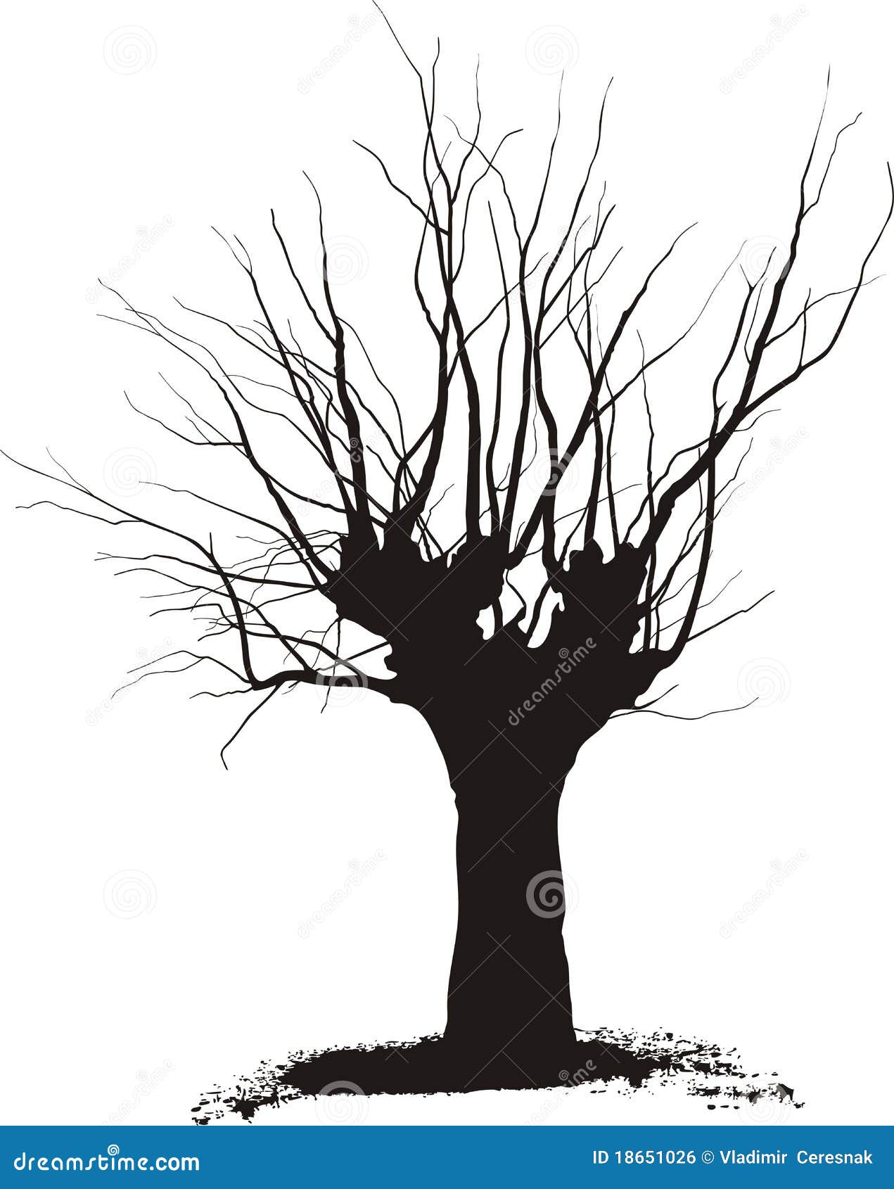 Tree Pruning Vector Illustration. Labeled Educational Plant Shaping ...