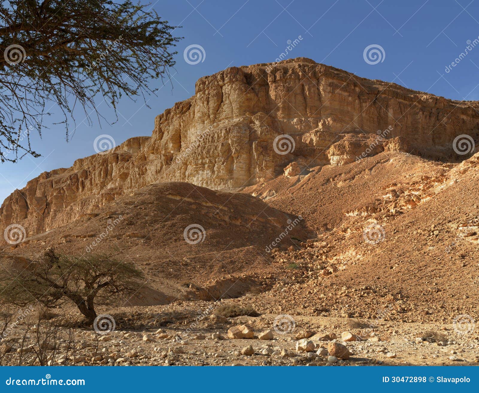 Dry Desert Hill In Valle Quitor, San Pedro De Atacama Desert Royalty ...