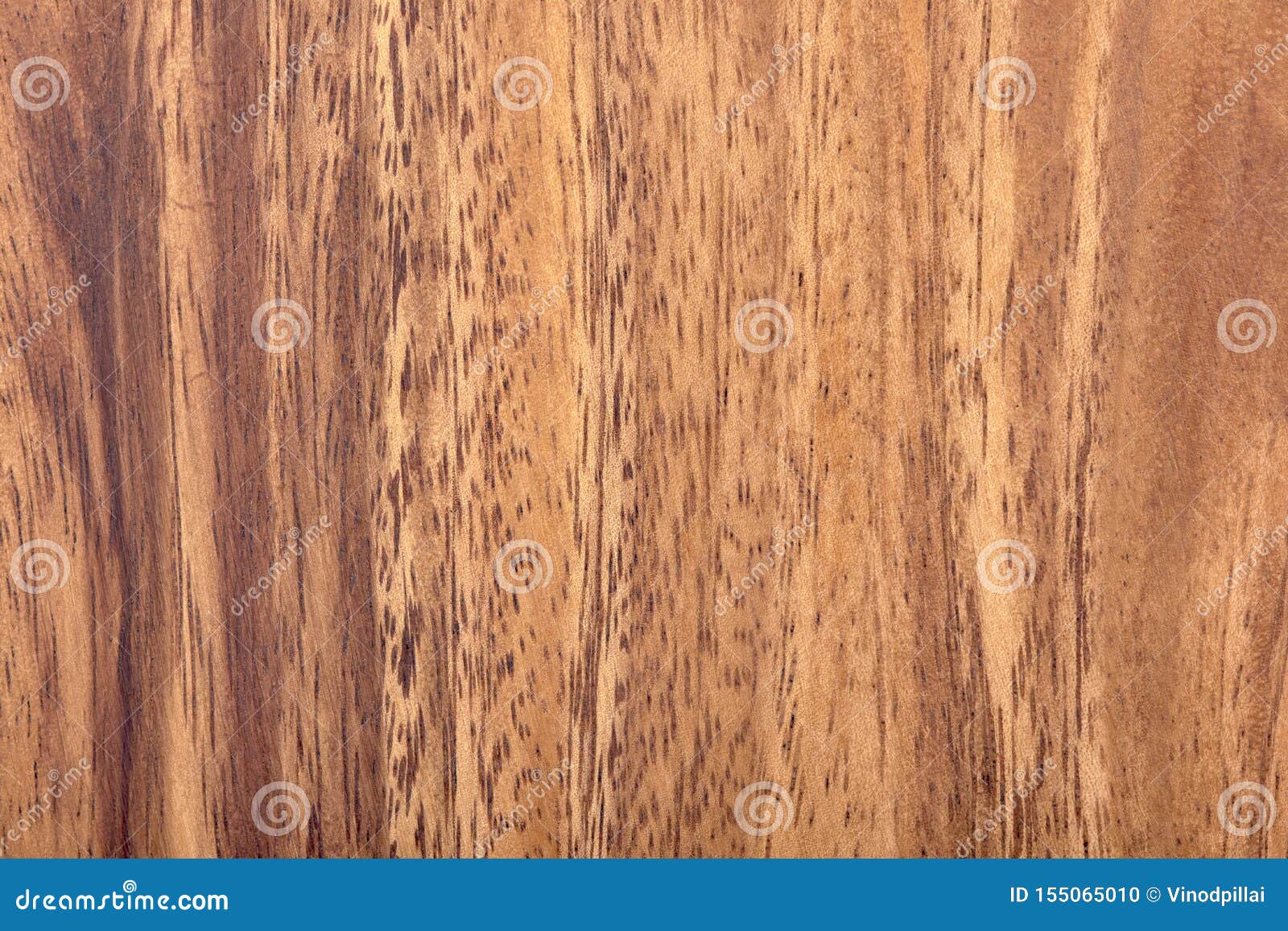 Acacia Wood Texture Close-up. Rustic Look With Veins, Knots And Copy ...