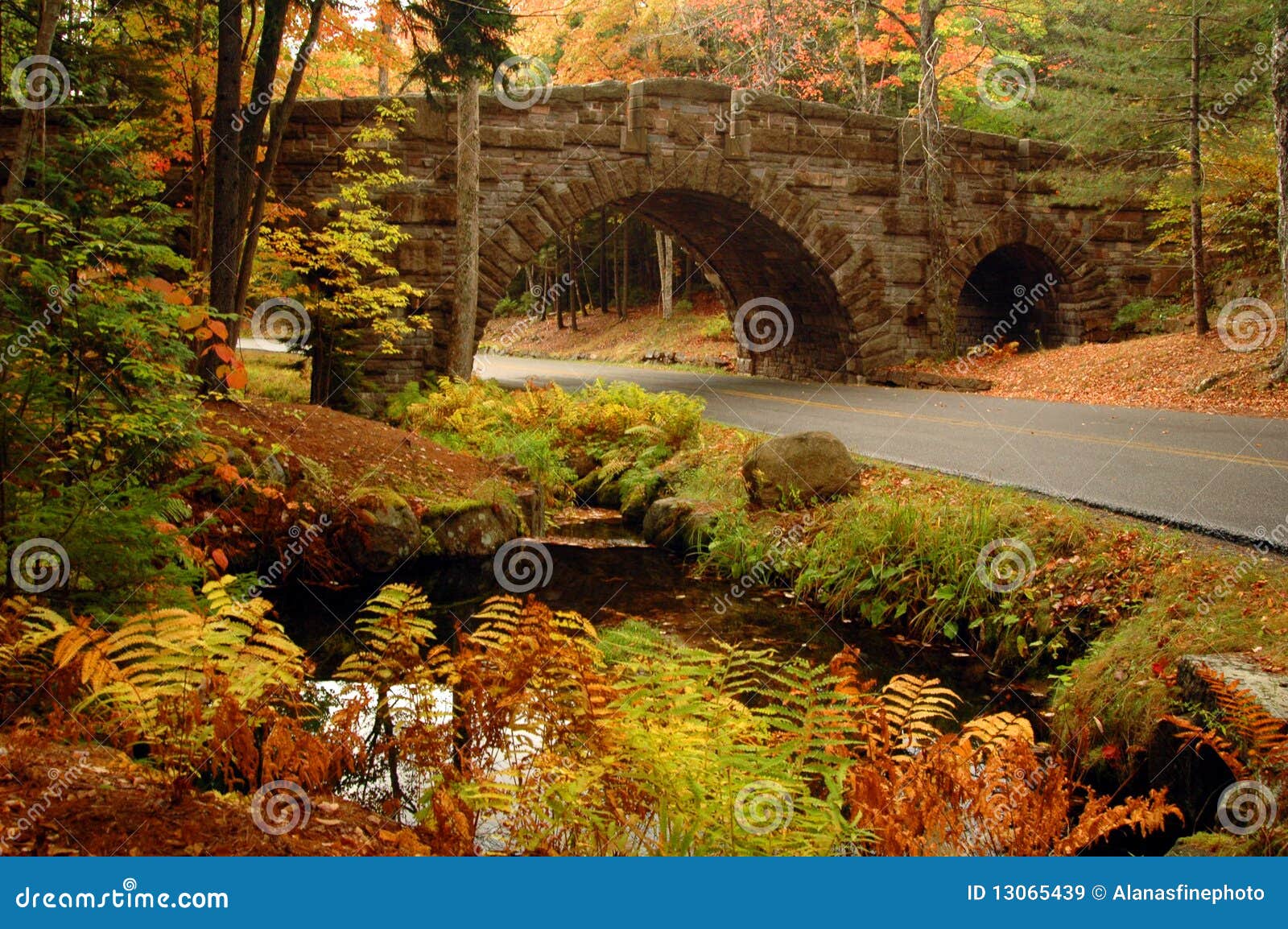 Acadia Arched Stone Bridge stock image. Image of bridge - 13065439