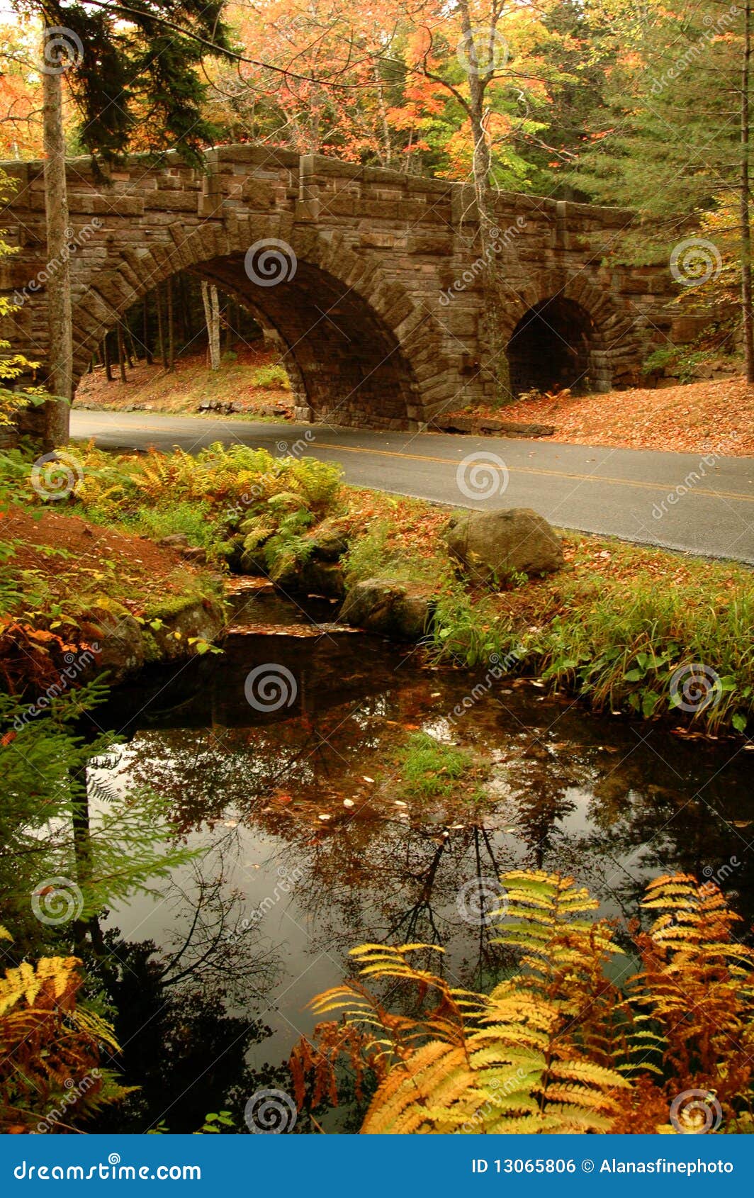 Acadia Arched Stone Bridge stock photo. Image of fall - 13065806