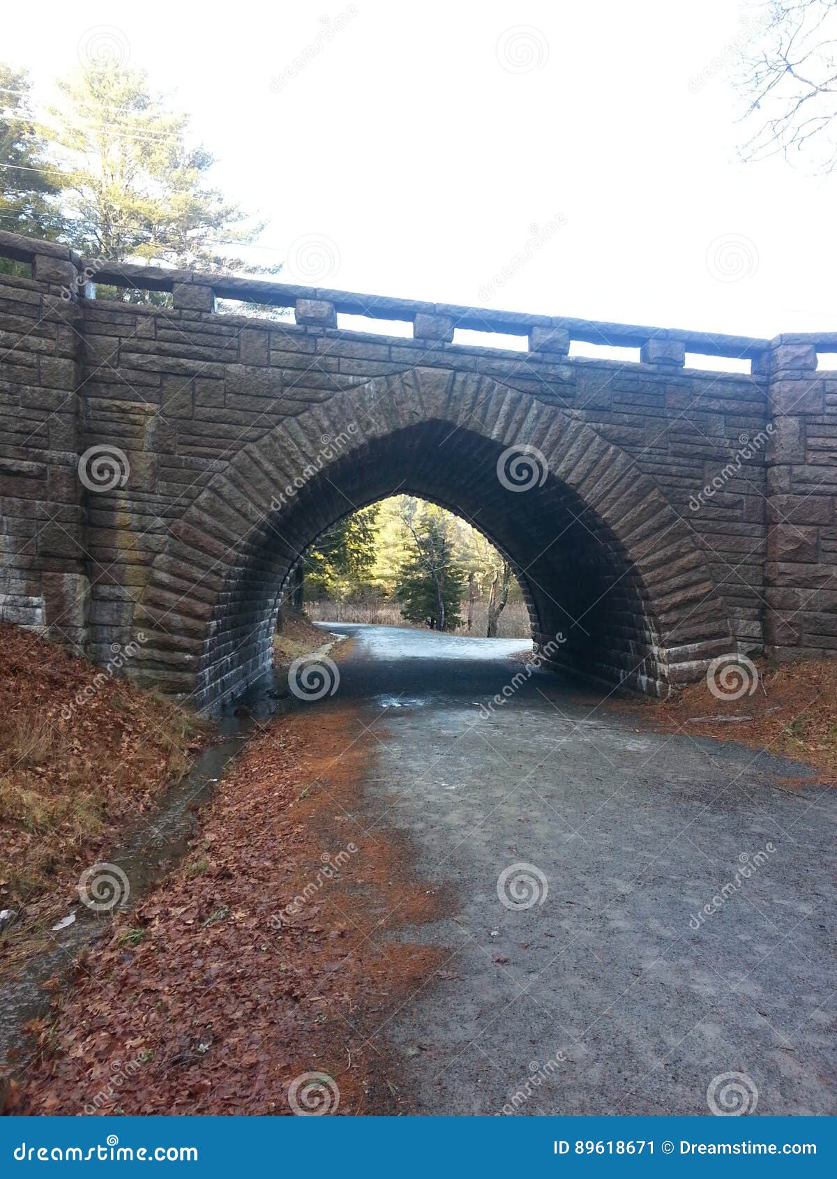 Acadia Bridges stock image. Image of maine, carriage - 89618671