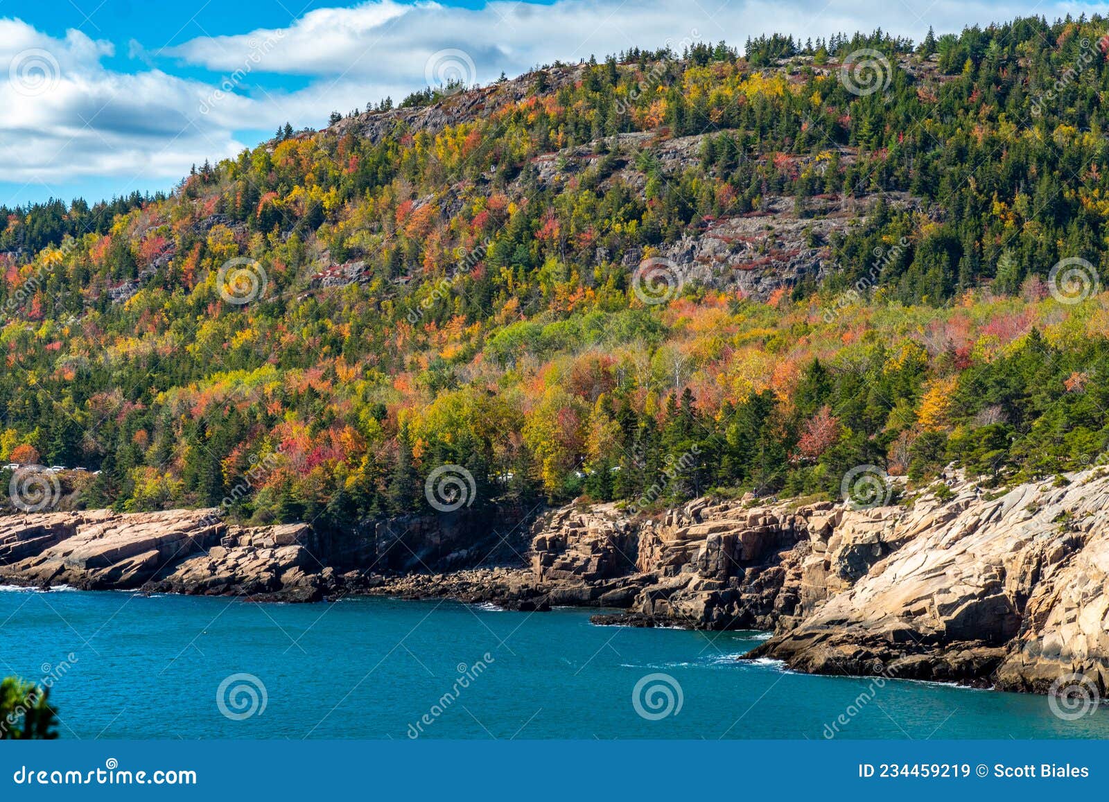 Acadia National Park Autumn Trees Changing Colors Stock Image - Image ...