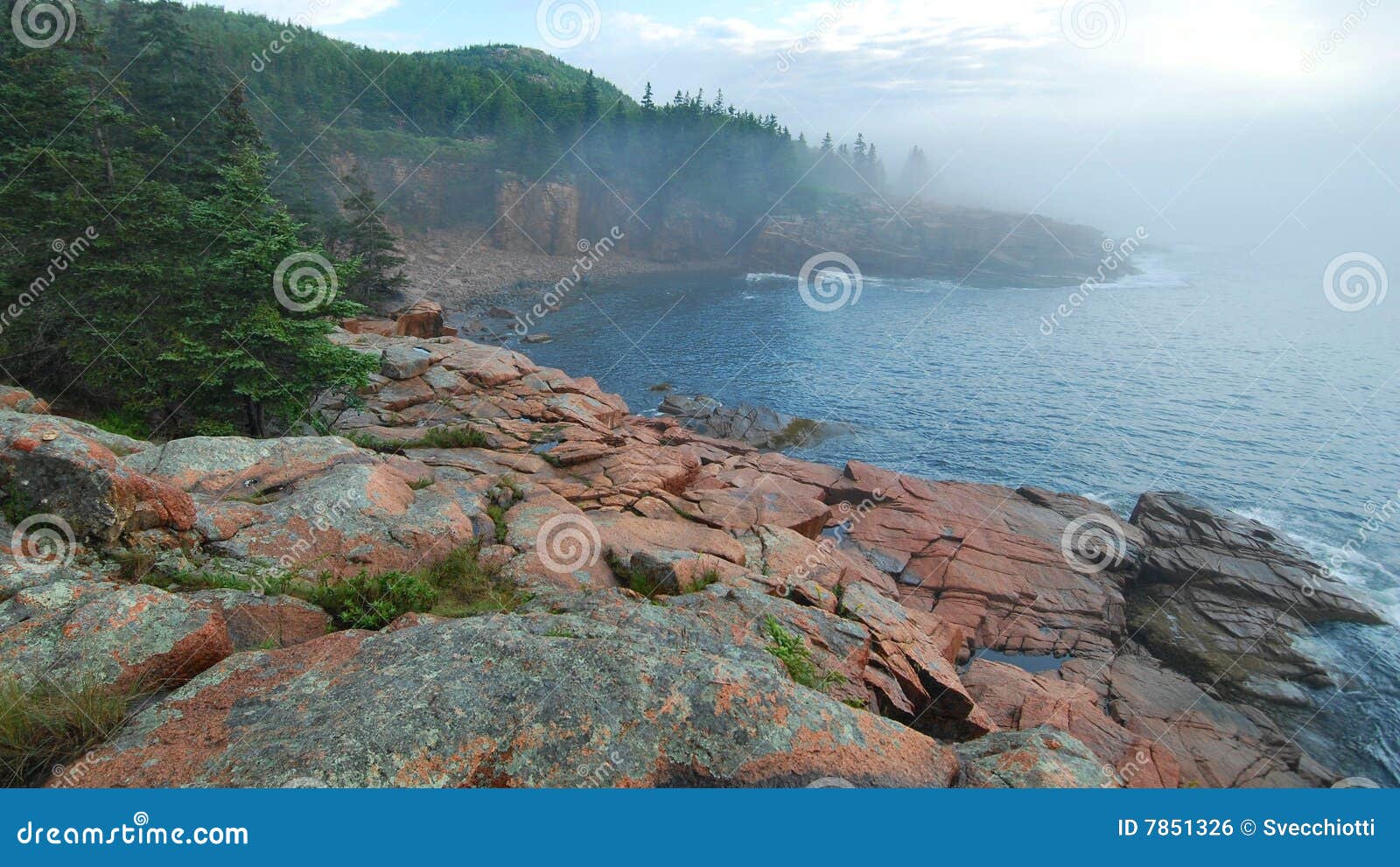 Acadia Summer Dawn stock photo. Image of america, dawn - 7851326
