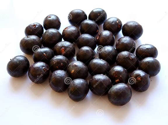 Acai stock photo. Image of trees, botany, bunch, health - 10358902