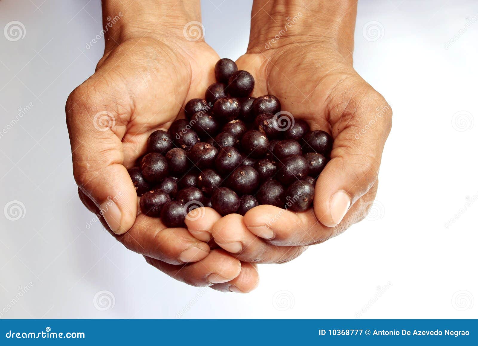 Acai stock image. Image of unready, amazonia, brazil - 10368777