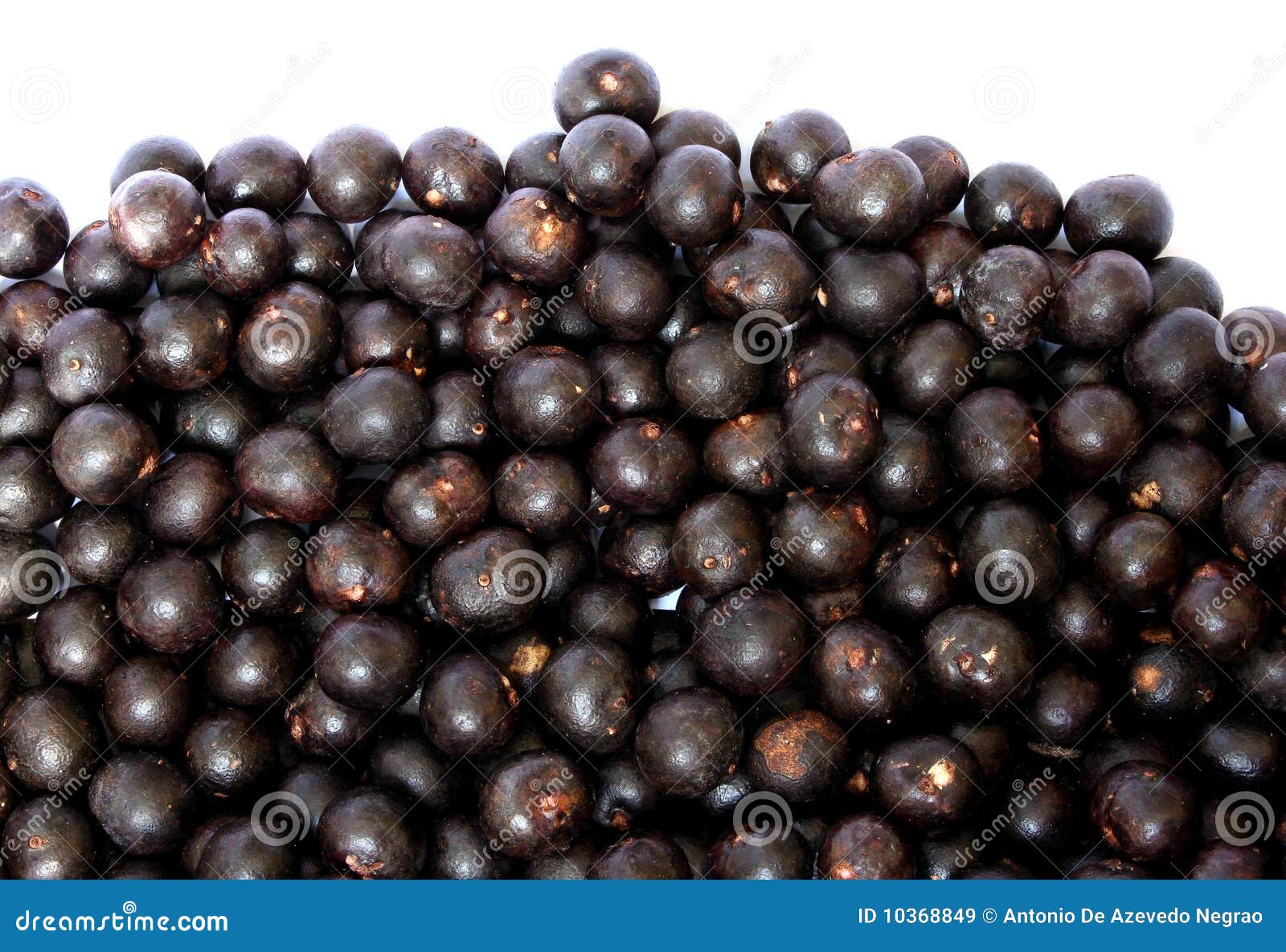 Acai stock image. Image of brazil, bunch, bundle, seeds - 10368849