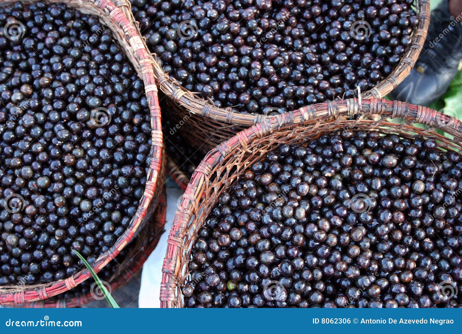 Acai stock photo. Image of brazil, ashai, euterpe, health - 8062306