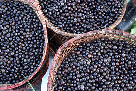 Acai stock photo. Image of brazil, ashai, euterpe, health - 8062306