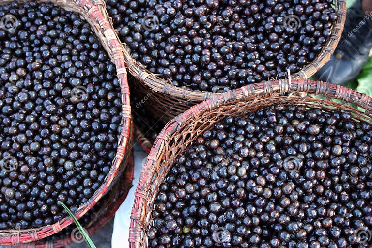 Acai stock photo. Image of brazil, ashai, euterpe, health - 8062306