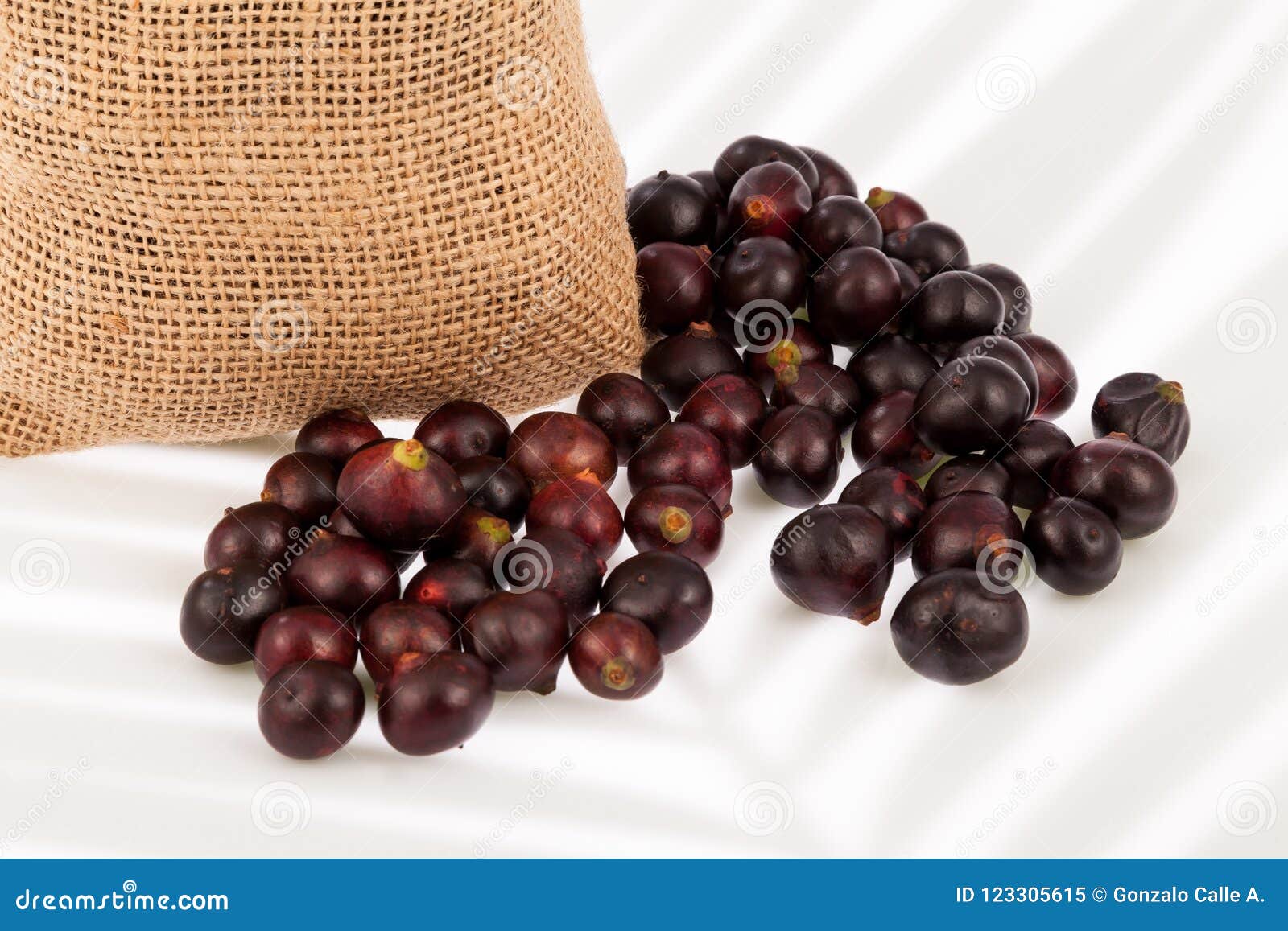 Acai Amazonian Fruit Euterpe Oleracea Stock Image - Image of fruits ...