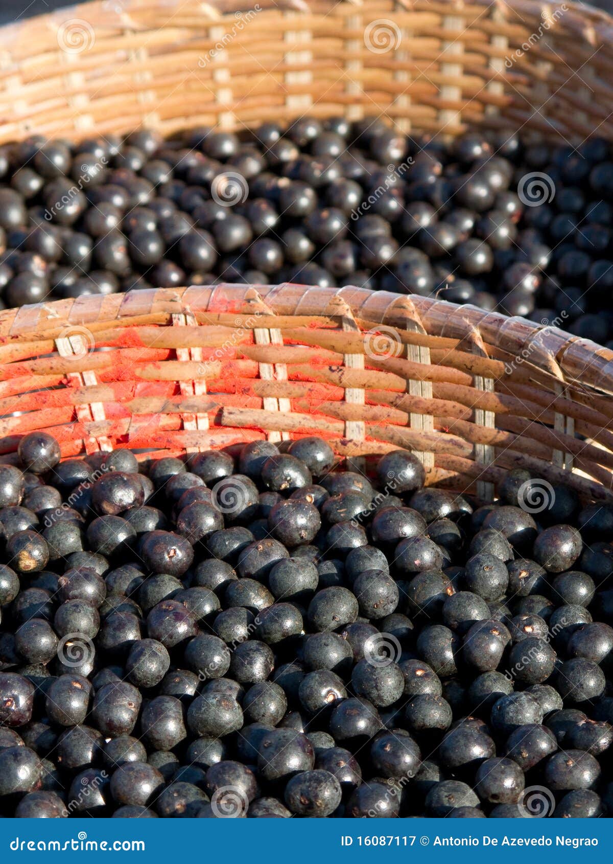 Acai in baskets stock image. Image of palms, basket, seed - 16087117
