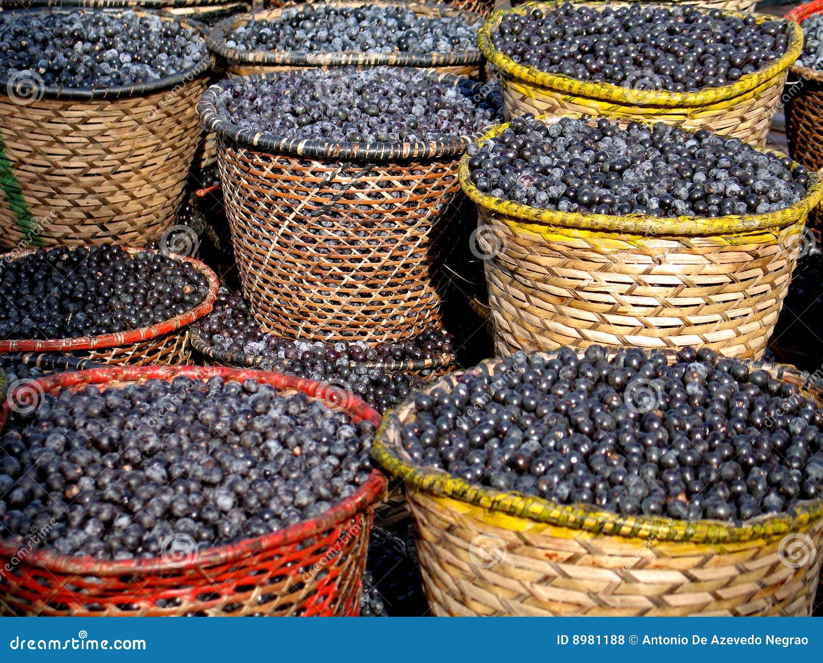 Acai in baskets stock photo. Image of tropical, brazil - 8981188