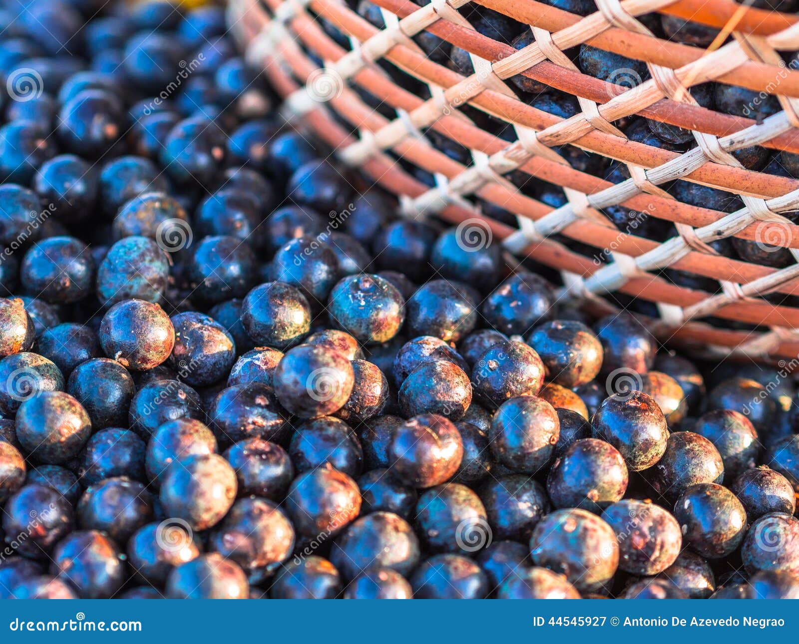Acai in baskets stock image. Image of seed, olearacea - 44545927