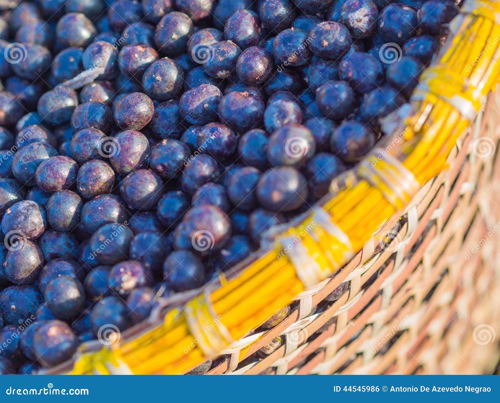 Acai In Baskets Royalty-Free Stock Photography | CartoonDealer.com ...