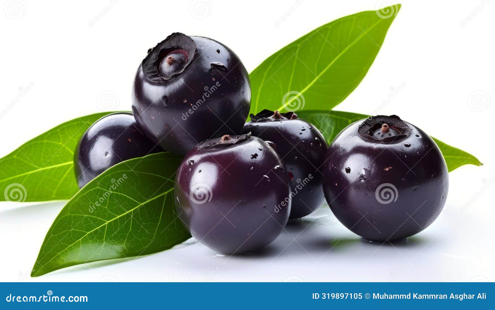 Acai Berries and Leaves, Isolated on White Stock Illustration ...