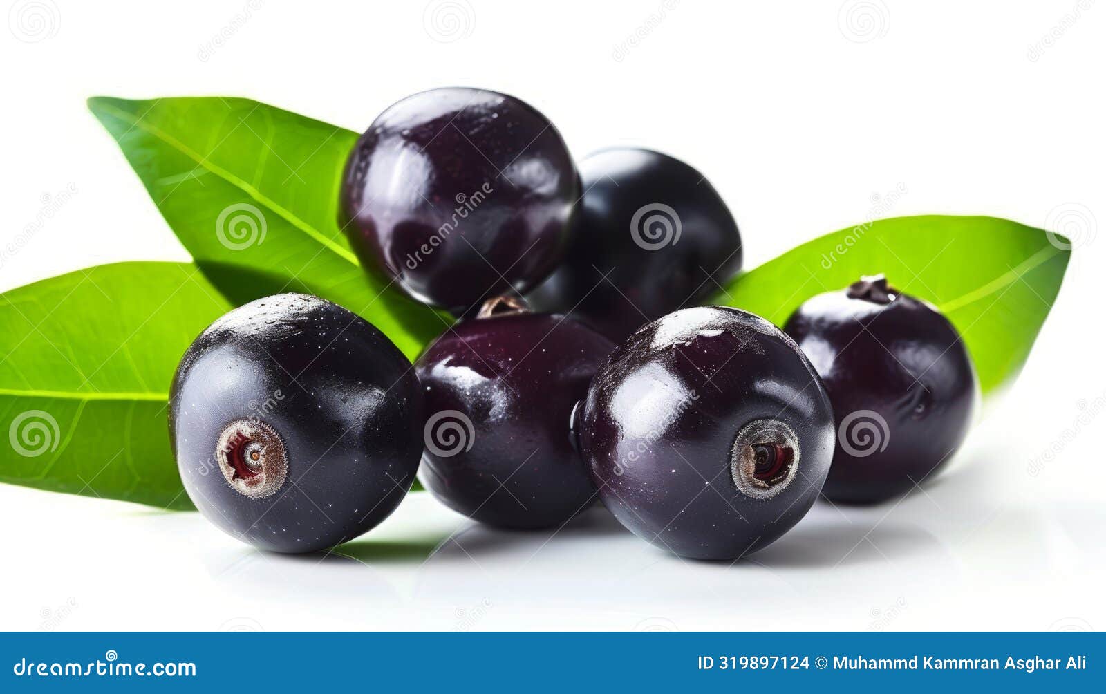 Acai Berries Vector Illustration. Acai Berries Vector Illustration ...
