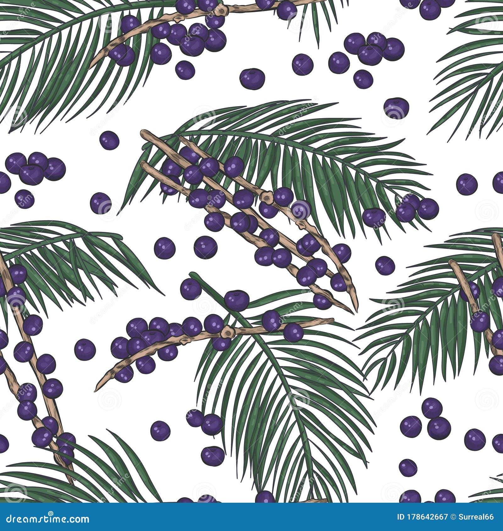 Acai Berries on White Background Seamless Pattern Stock Vector ...