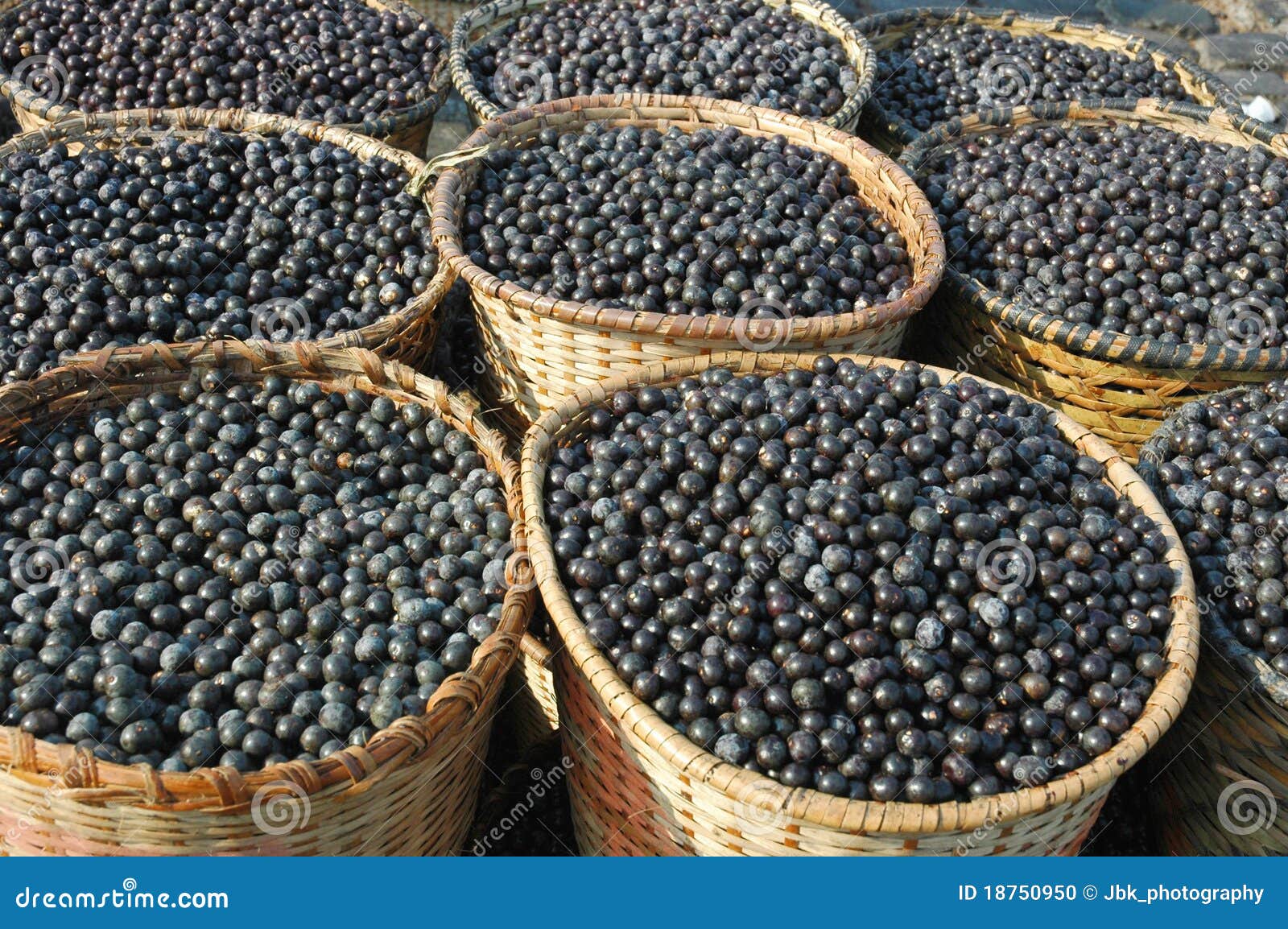 Acai Fruit Harvest and Market Stock Photo - Image of black, brazil ...