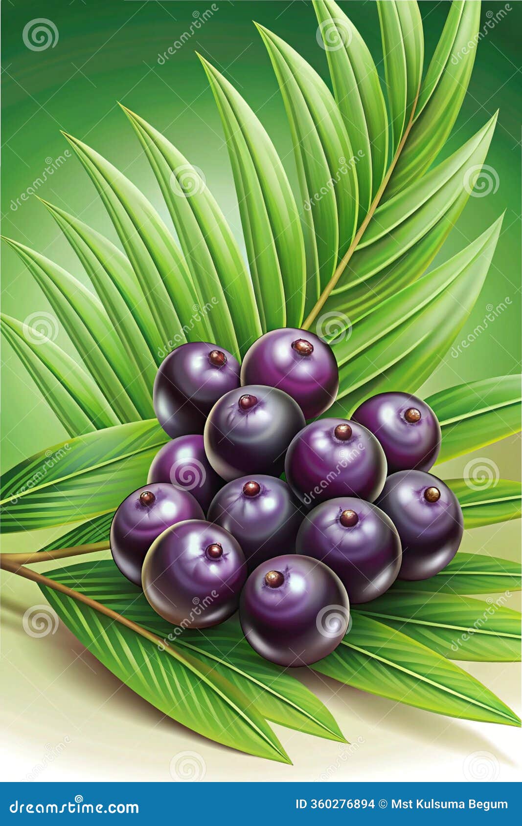 Acai Fruit and Leaf Glossy Texture, Reflecting Their Fresh and Juicy ...