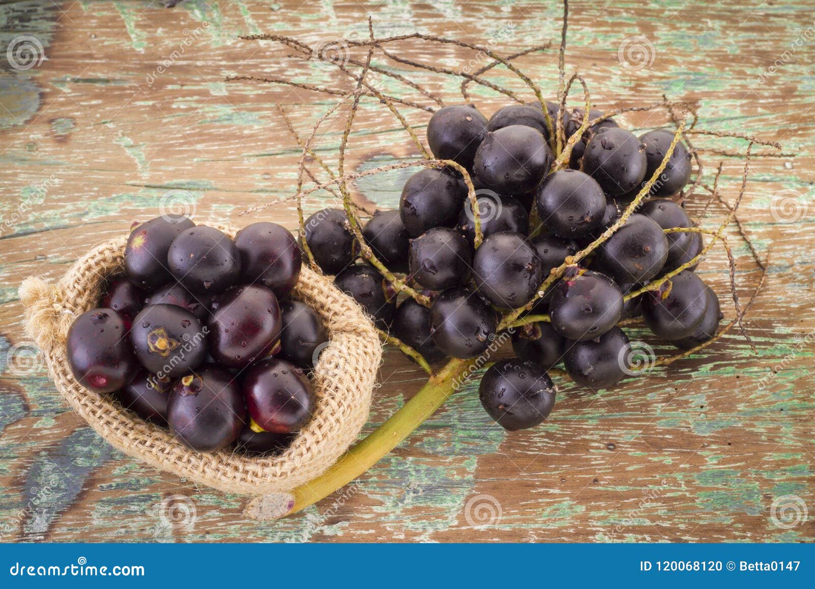 Acai Fruit and Powder Euterpe Oleracea Stock Photo - Image of energy ...