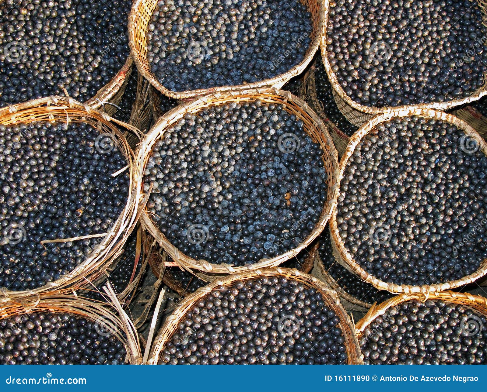 Acai nas cestas foto de stock. Imagem de justo, sementes - 16111890