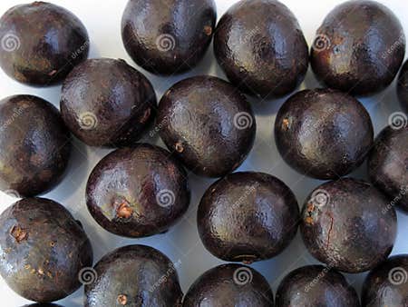 Acai seeds stock image. Image of fruit, immature, background - 17029813