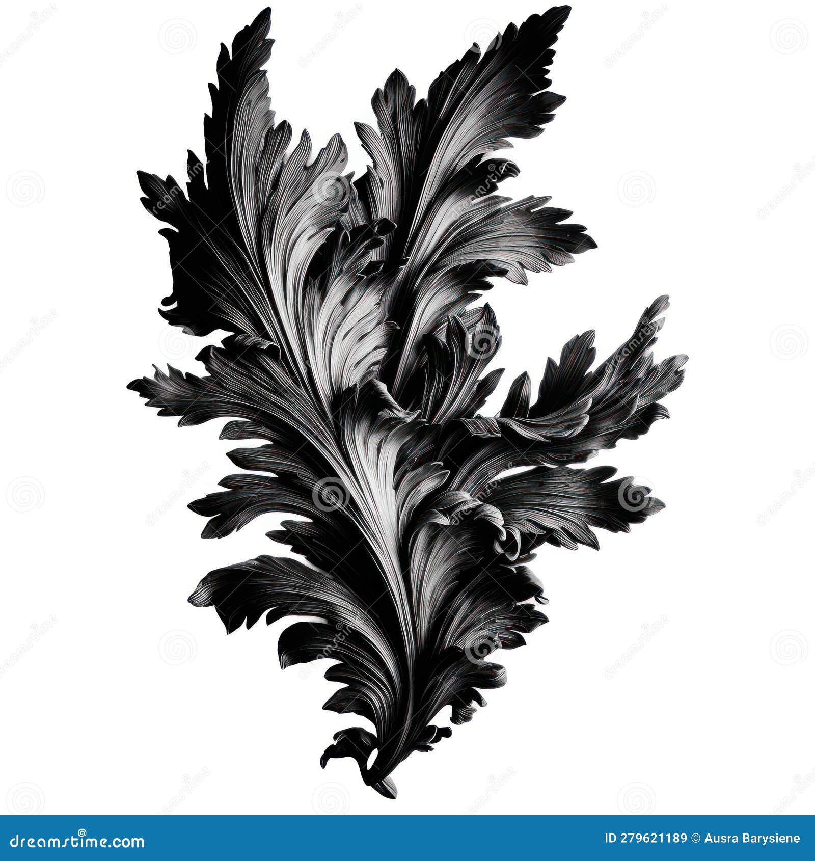 Acanthus Drawing