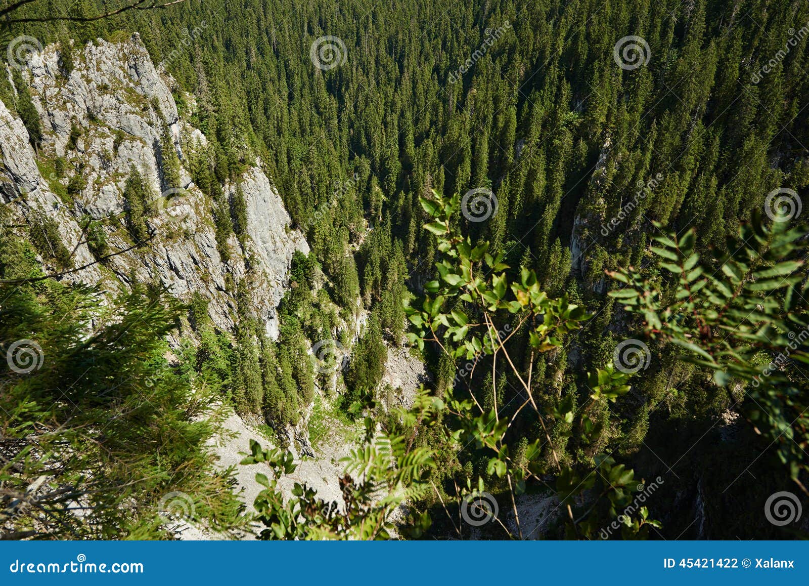 Acantilado escarpado foto de archivo. Imagen de verde - 45421422