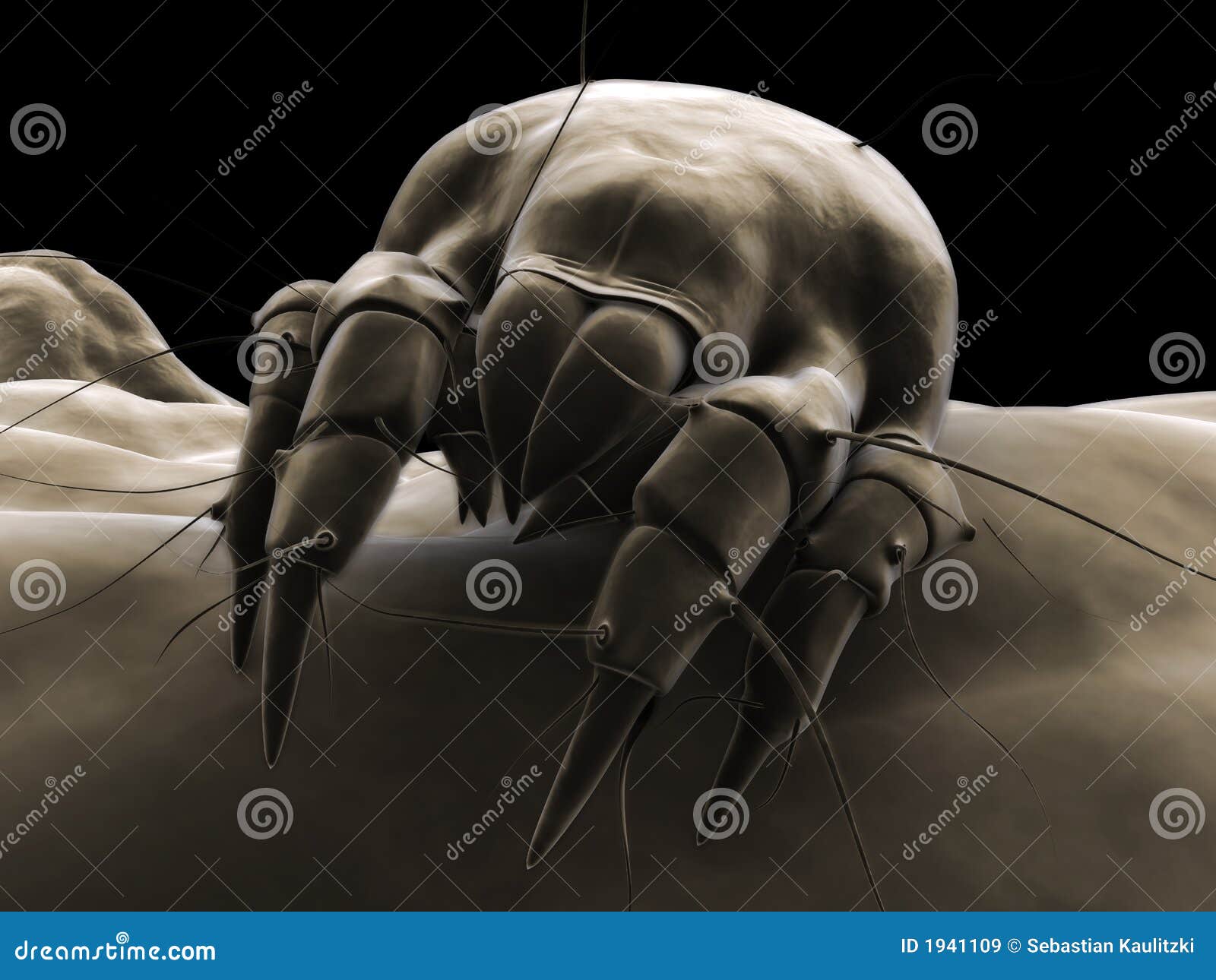 Acarides illustration stock. Illustration du insecte, électrons - 1941109