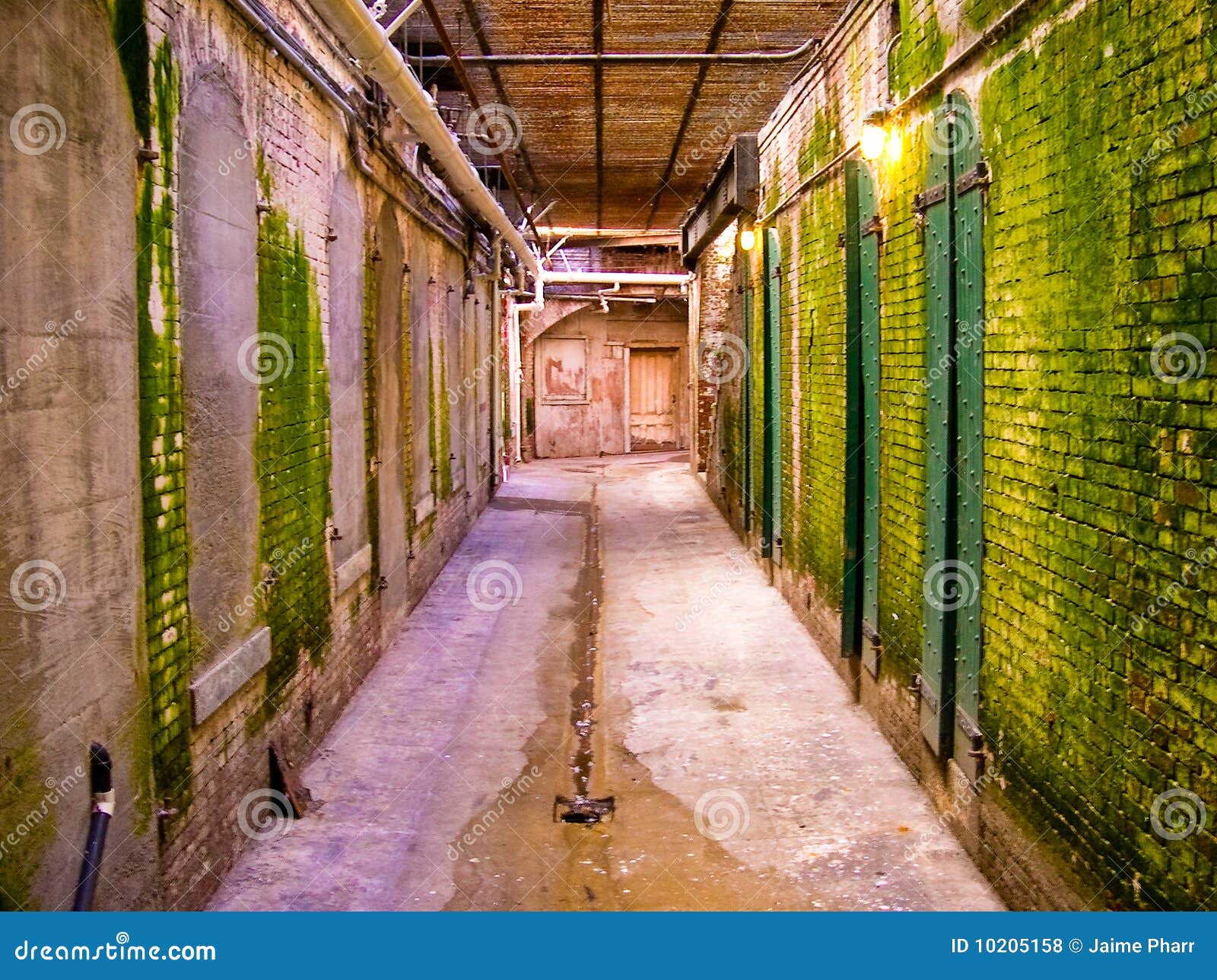 Acatraz passageway stock photo. Image of drain, brick - 10205158