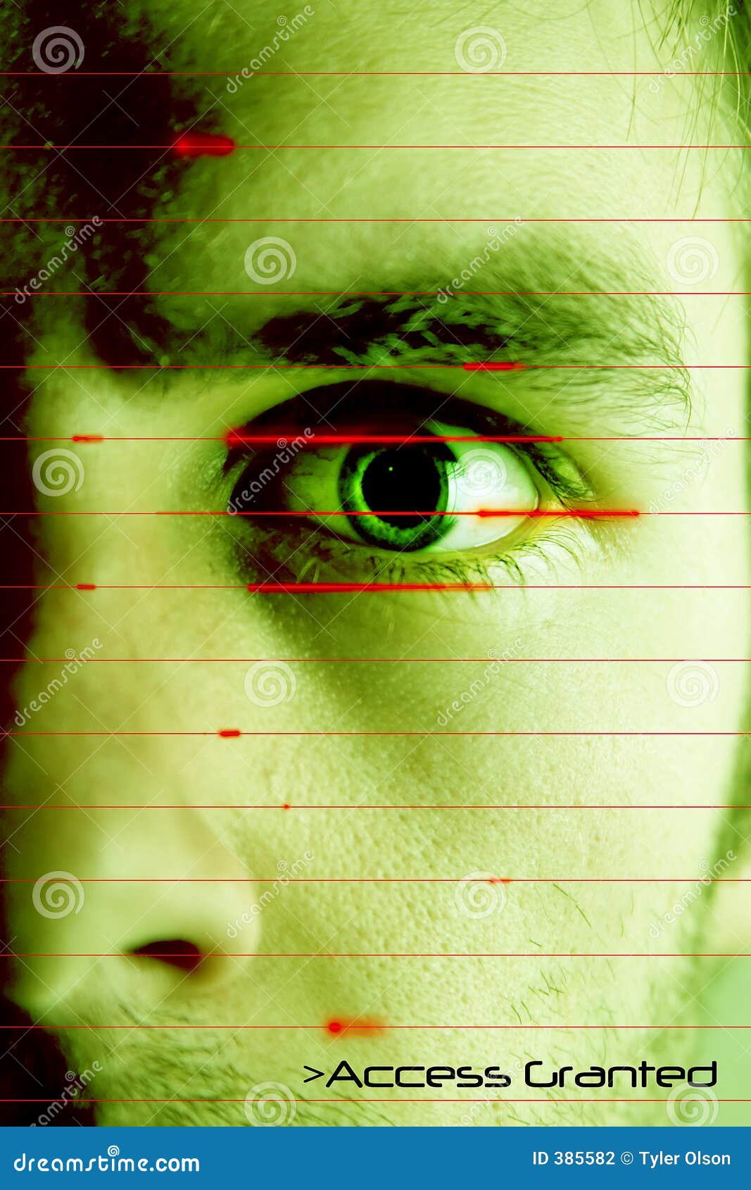 Access Granted stock photo. Image of access, individual - 385582