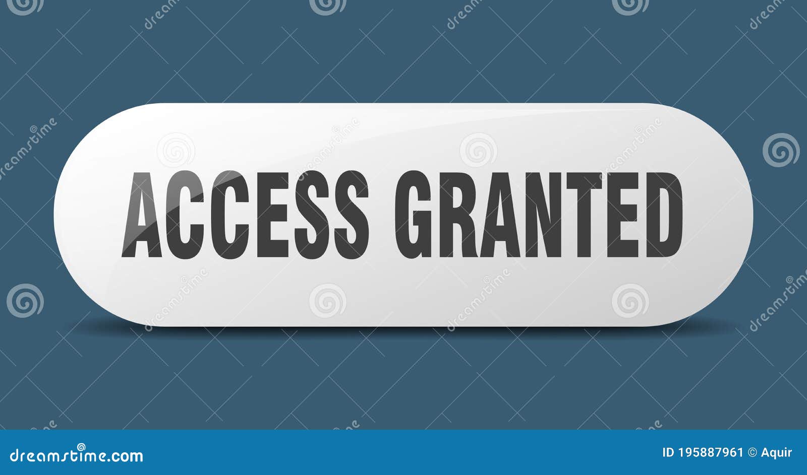 Access Granted Button. Sticker. Banner. Rounded Glass Sign Stock Vector ...
