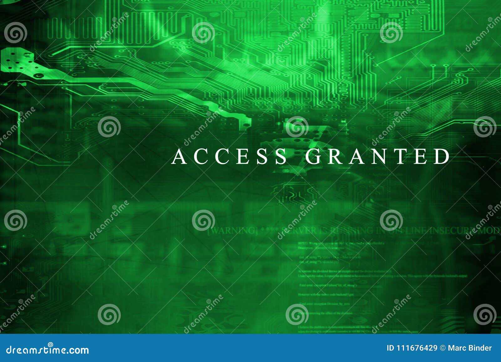 `Access Granted` at Computer System Screen Stock Illustration ...