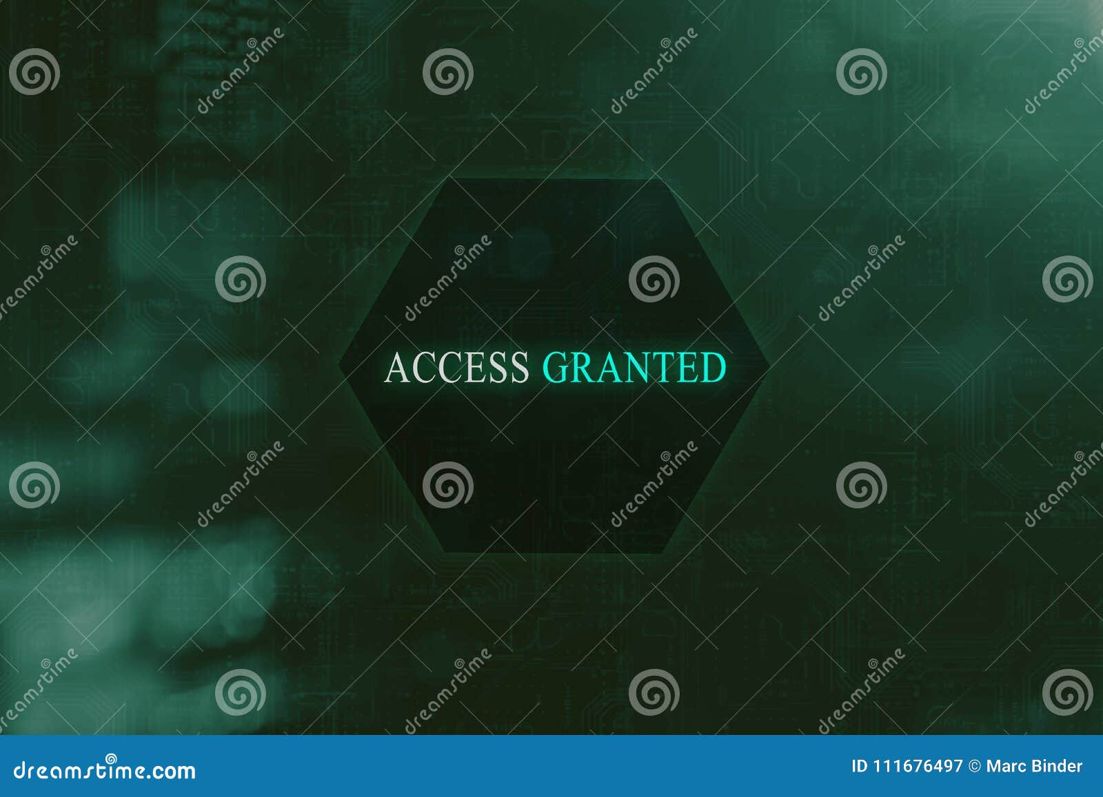 `Access Granted` at Computer System Screen Stock Illustration ...