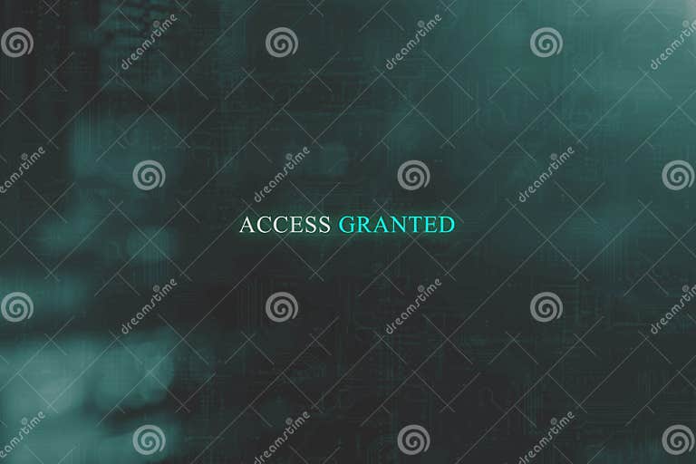 `Access Granted` at Computer System Screen Stock Illustration ...