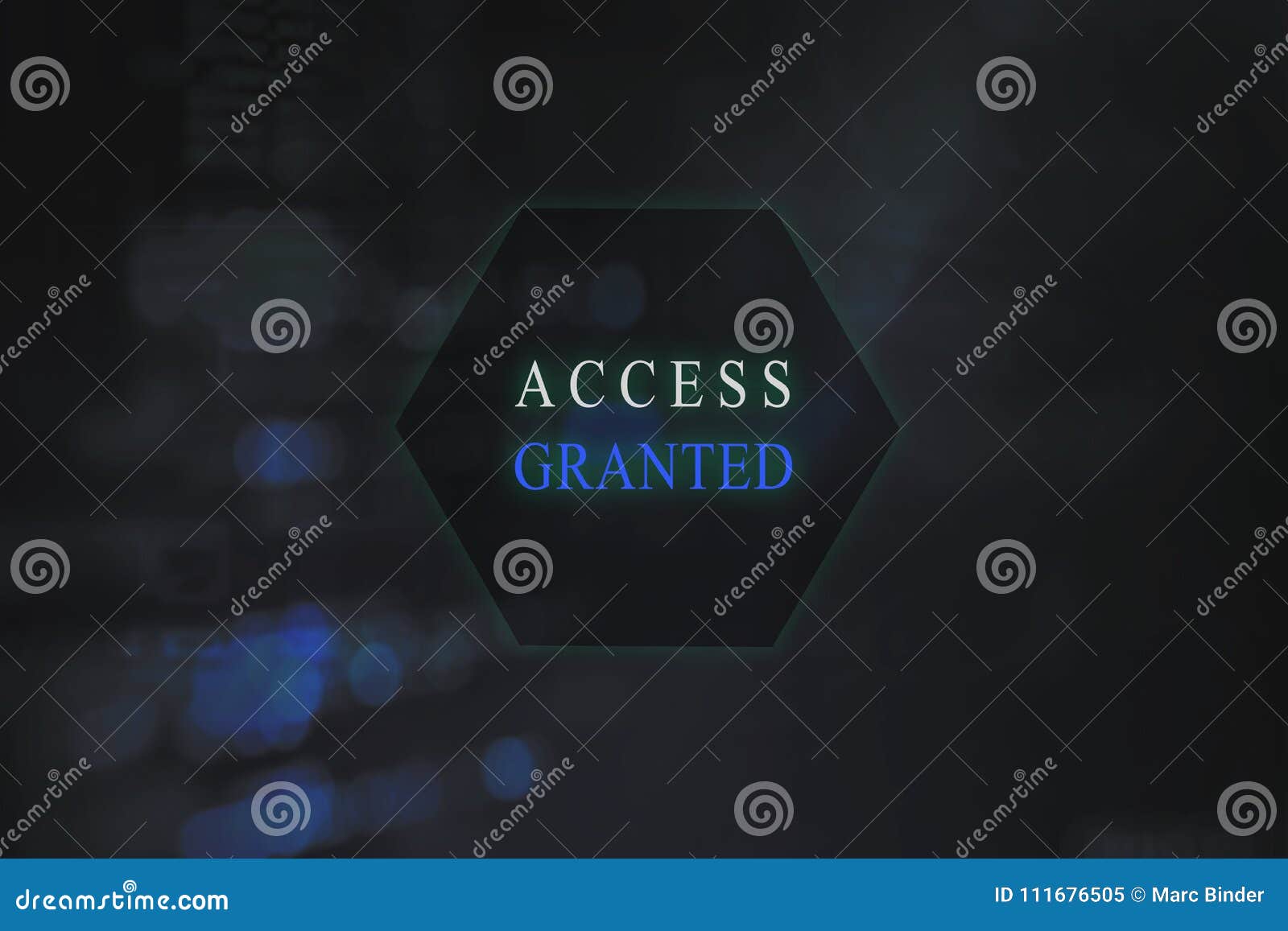 `Access Granted` at Computer System Screen Stock Illustration ...