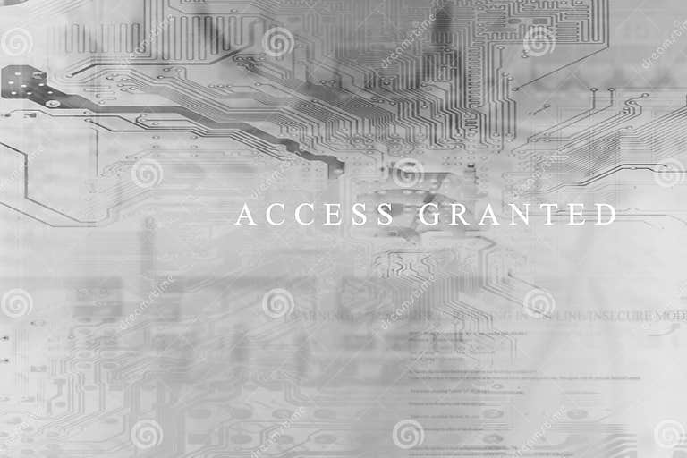 `Access Granted` at Computer System Screen Stock Illustration ...