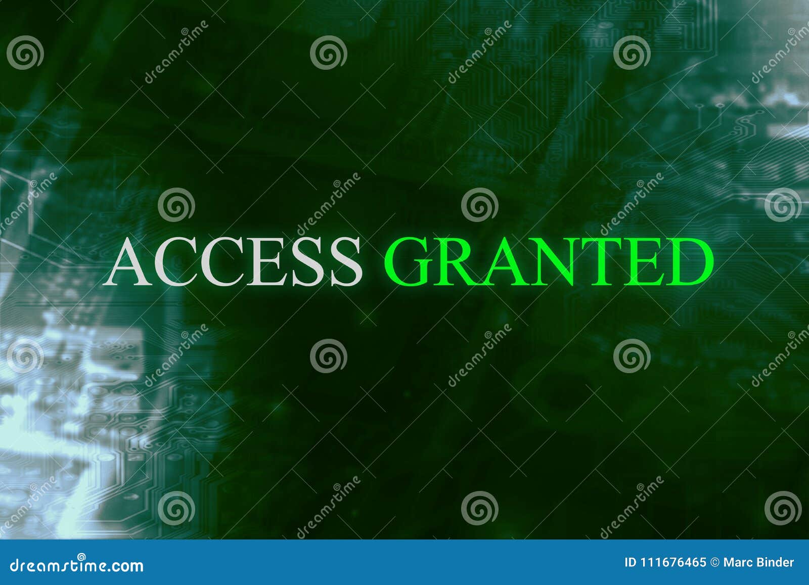 `Access Granted` at Computer System Screen Stock Illustration ...