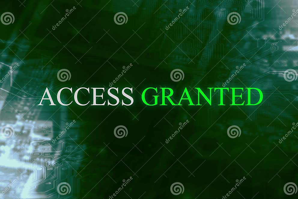`Access Granted` at Computer System Screen Stock Illustration ...