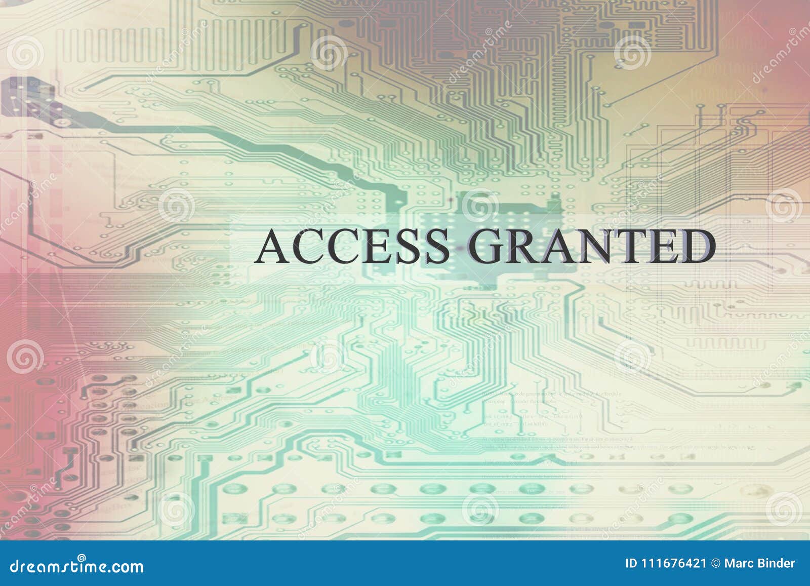 `Access Granted` at Computer System Screen Stock Illustration ...