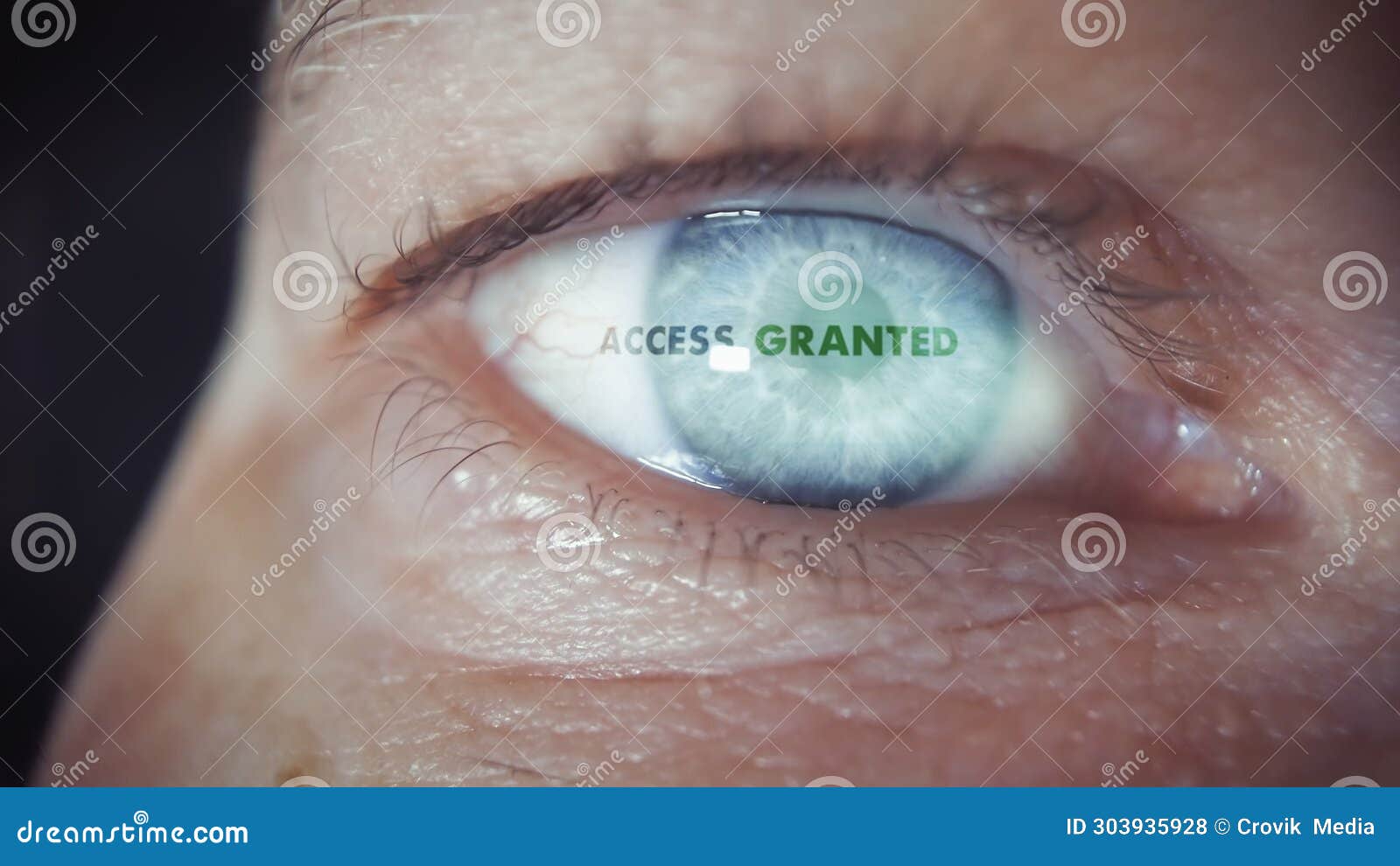 Access Successfully Granted during an Iris Eye Scan Stock Photo - Image ...